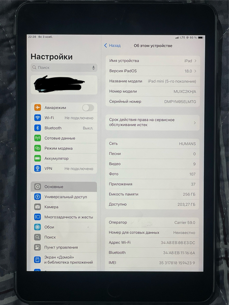 Ipad mini 5 (256GB)