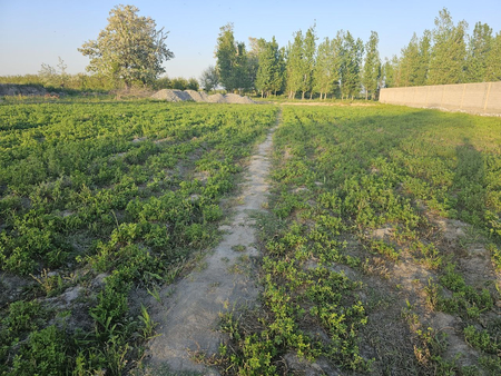 Продаётся участок в городе Самарканд.