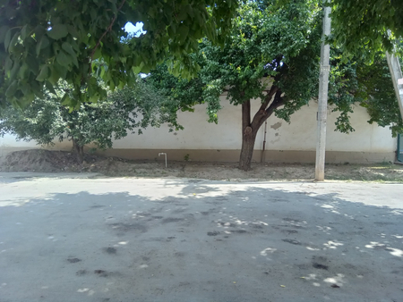 Yer sotiladi 2ta honasi ham bor