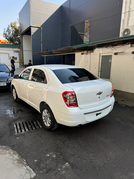 Cobalt 24/25 кобалт