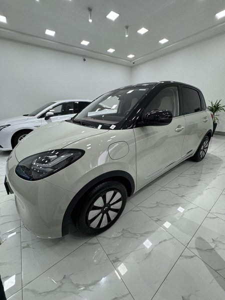 Wuling Bingo Consonance  Фуловая позиция