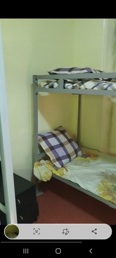 Kivartira quyaman faqat ustitenlar qoʻyiladi