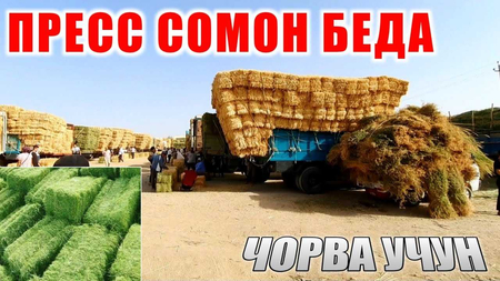 Presslangan beda hashak. Birimchi va uchinchi o'rim. Eng arzon narx