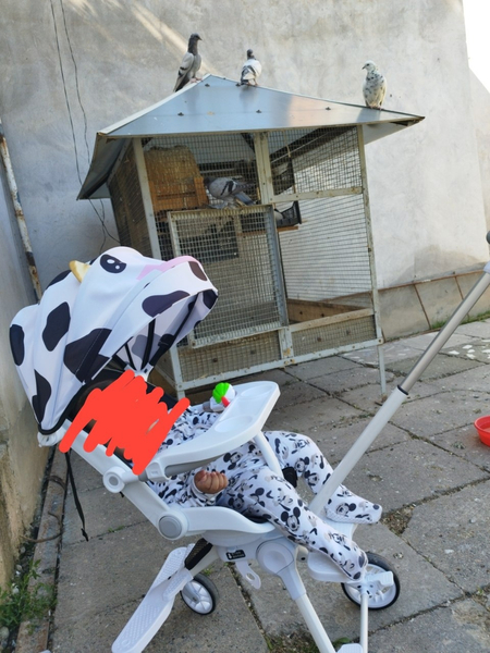 Dron kalyaska b/u