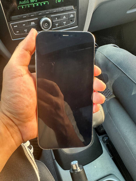 iPhone 12 Pro Max (turbo sim)