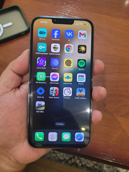 iPhone 13 Pro Max
