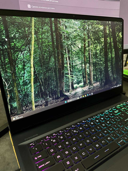 MSI GE76 Raider Gaming Laptop
