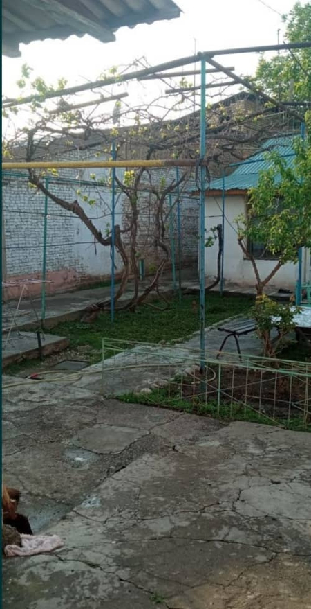 Участка сотилады