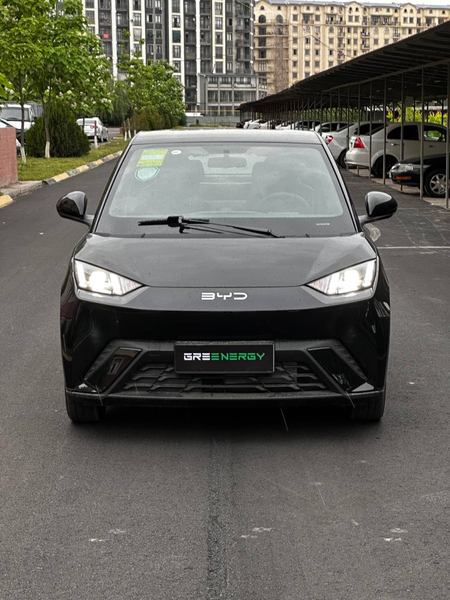 Byd Seagull Flying Фулл в наличии