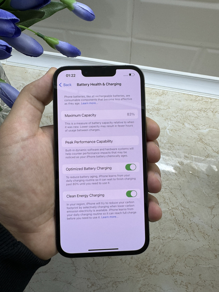 Iphone 13 Pro 256 GB LL/A Ideal