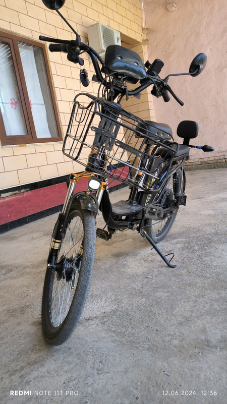 Феникс Elektrovelo