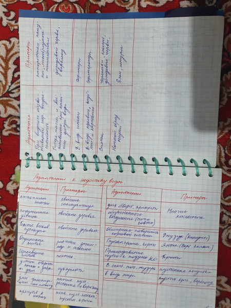Книги и конспекты Биология/Химия