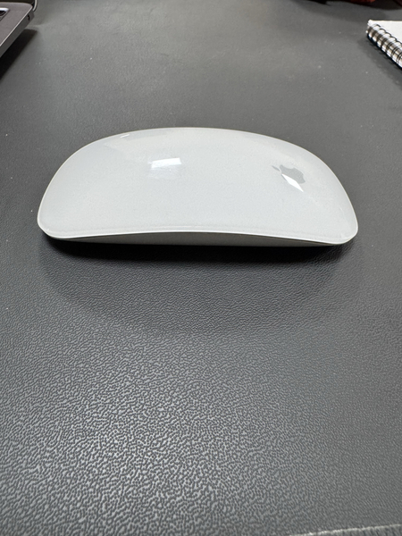 Magic Mouse 2 white