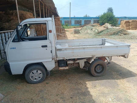 Damas Labo qilingan