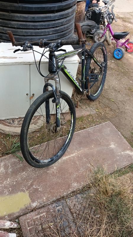 Velosiped skilmax kotta