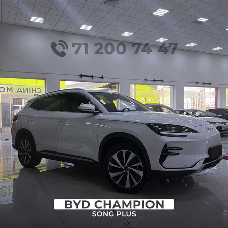 Byd champion 605 km 2 dona qoldi