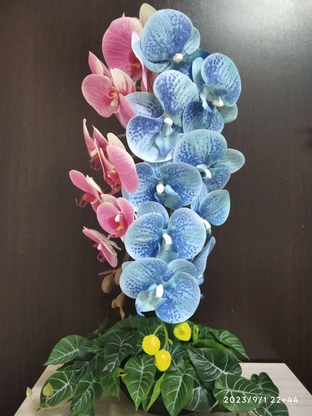 Uy, ofis, dokonlar uchun dekor gullar