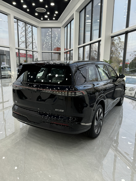 Dongfeng ep 008  v nalichida