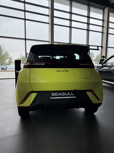 SEAGULL ( 405 KM Flying )