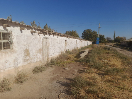 Molxona srochna sotiladi