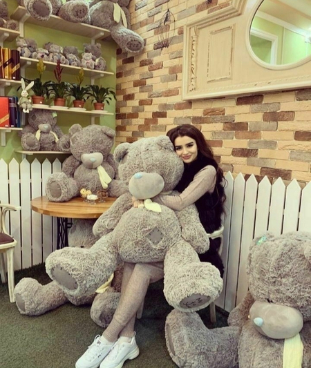 Teddy va boshqa yumshoq oʻyinchoqlar