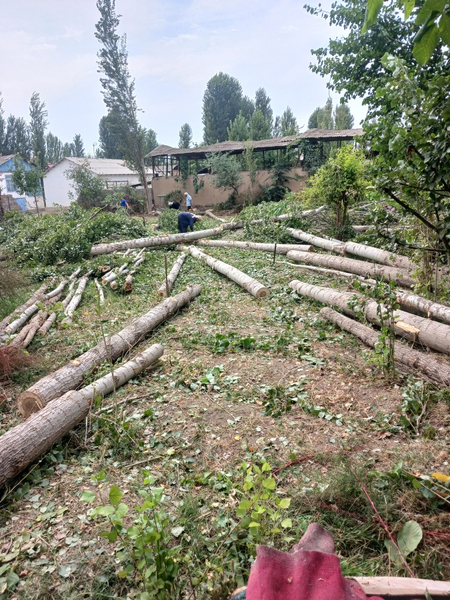 Терак ёнгок кесиб берамиз