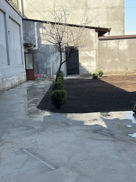 Gazon daraxt ekish xizmati