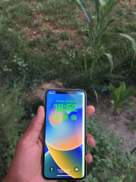 Iphone X Oq Ideal