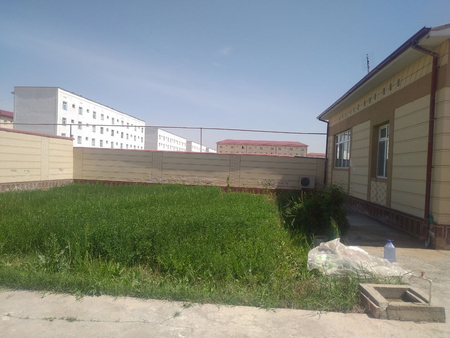 Kotej otchoparda srochna sotiladi