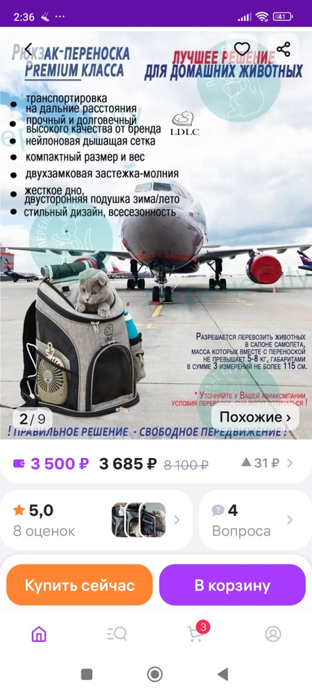 Бенгальский котёнок в подарок переноска рюкзак лежанка и миска интерак
