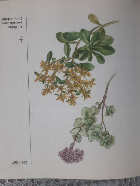 Продаётся 2 книги