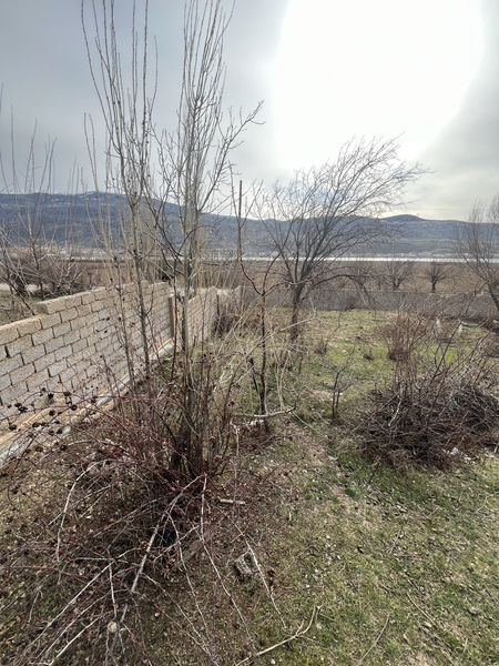 Gazalkentda Dacha uchun yer o’ralgan