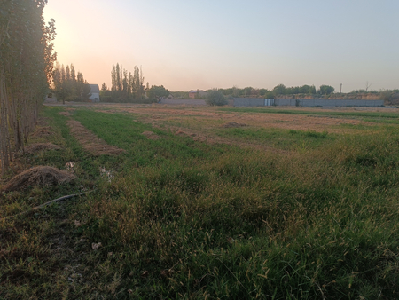 Dala hovli uchastka Dacha