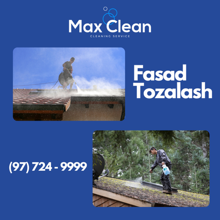 Tozalash xizmatlari (Gilam, Fasad, Restoran, Bruschatka, Tashkilot)