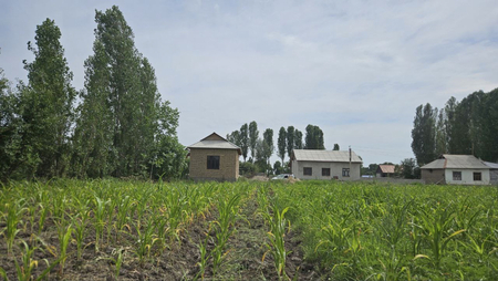 Uy sotiladi manzil Quyichirchiq tumanida