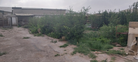 Hovli sotiladi karmana tm gulshan qurg'oni