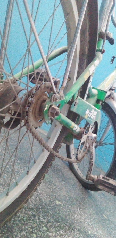 Velosiped (kama velik)