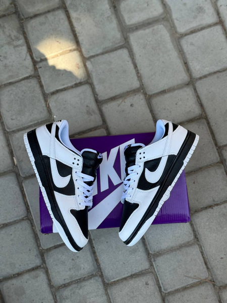 Nike Sb Dunk x low