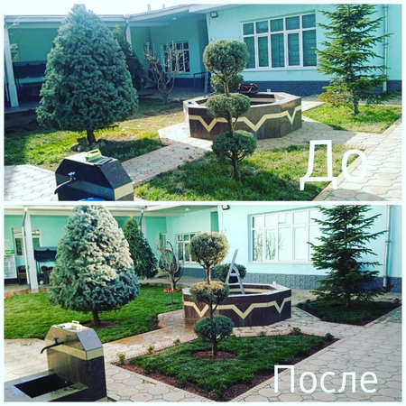 Bog‘bon xizmati Umid
