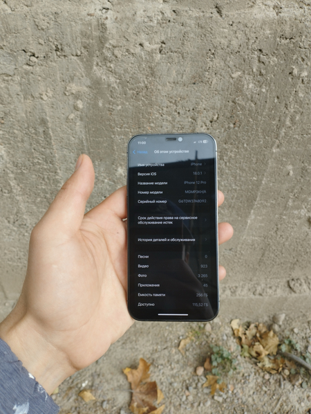 Iphone 12 pro 256 tali
