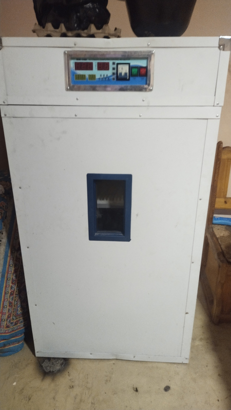 Инкубатор продаётся