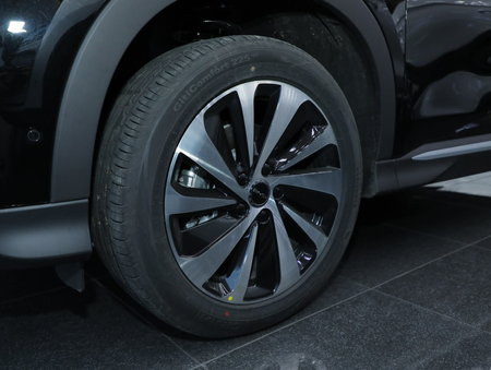 BYD Song plus Champion edition 2024
