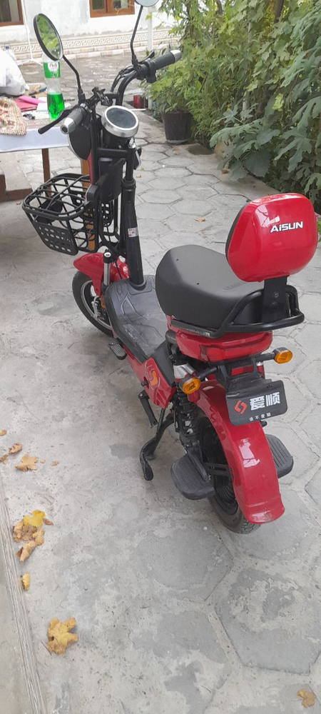 Skuter elektroni