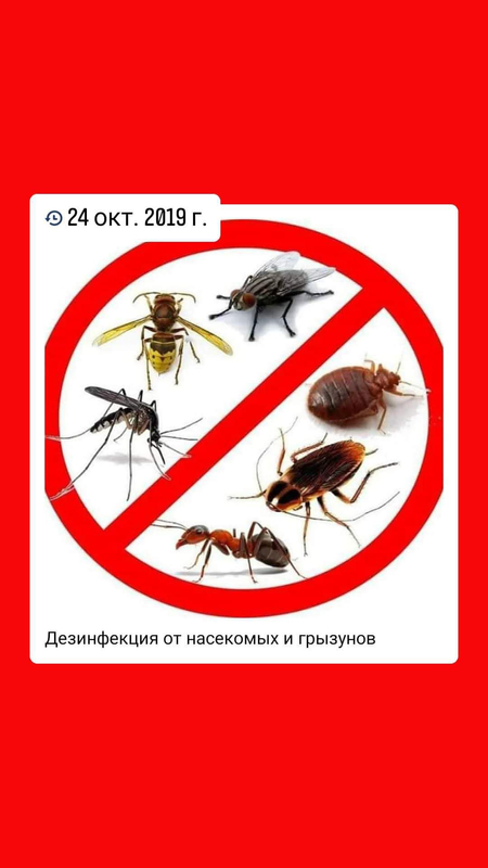Маскитний сетка заказга, срочный