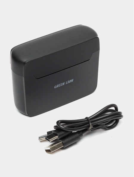 Green Lion 2-in-1 Digital Display Microphone