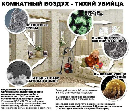 Стирка ковров в Кибрай скидка 10% бесплатная доставка