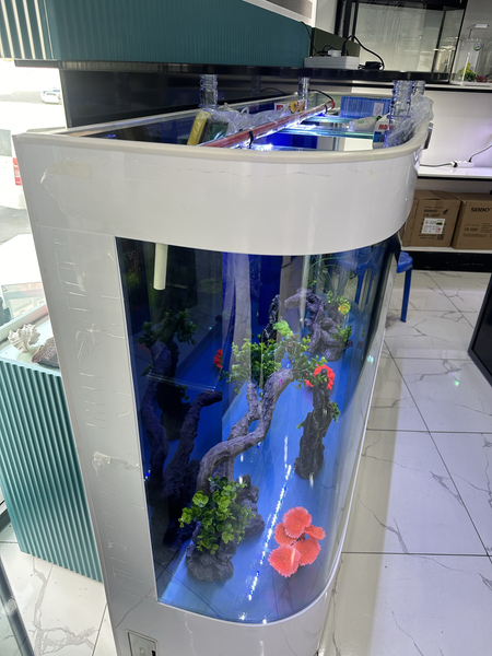 Akvarium 1 tonna Gigant