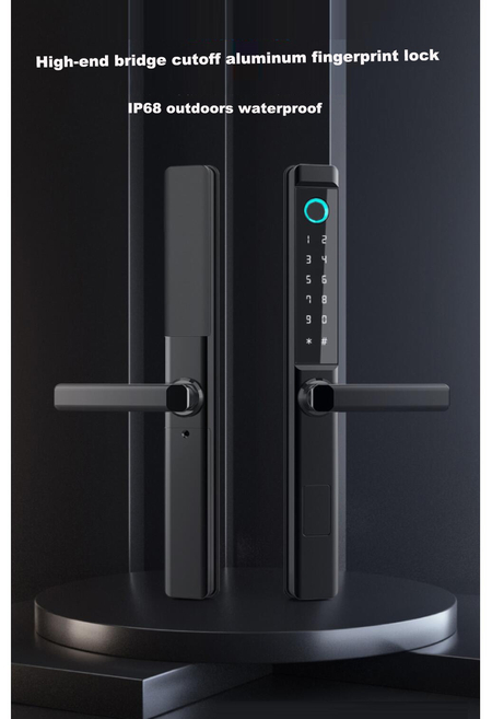 Умный биометрический дверьной замок DQ06 TTlock, Smart lock Akfa eshik