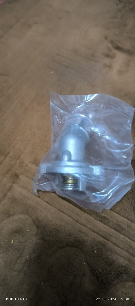Termostat GM original