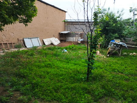 hovlini yarimi 2.5 sotigi sotiladi